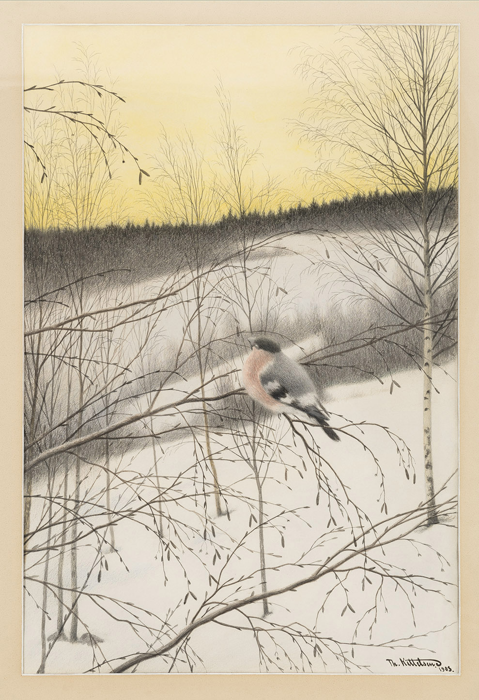 Dompap. Morgengry - English Sparebankstiftelsen